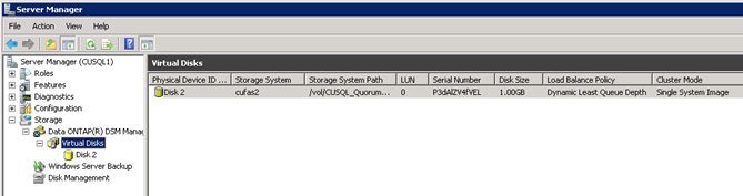 Masking and Presenting LUNs in NetApp Filers - | Exit | the | Fast | Lane